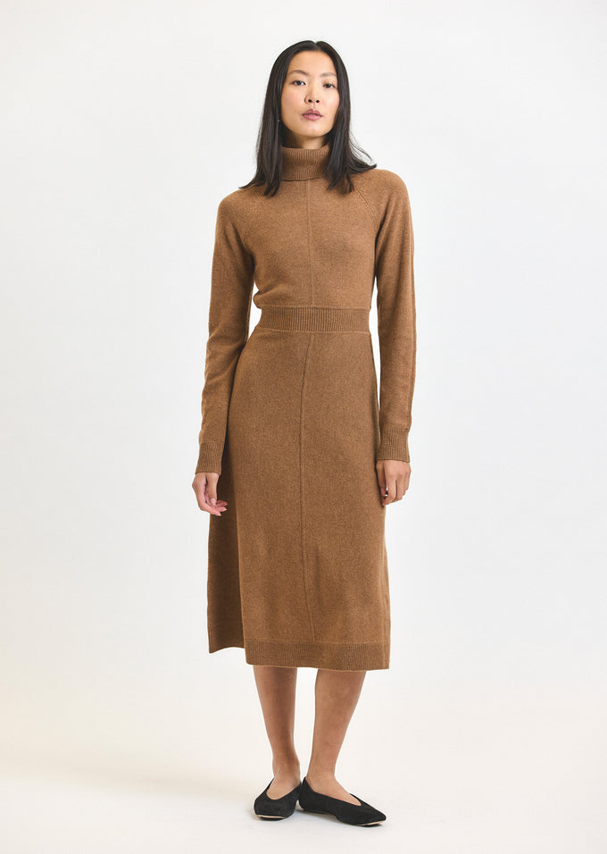 Bethany Long Sleeve Turtleneck Dress - Mocha Mousse – Derek Lam
